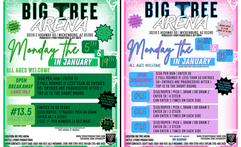 Mondays in January at Big Tree Arena - 3 Point Productions